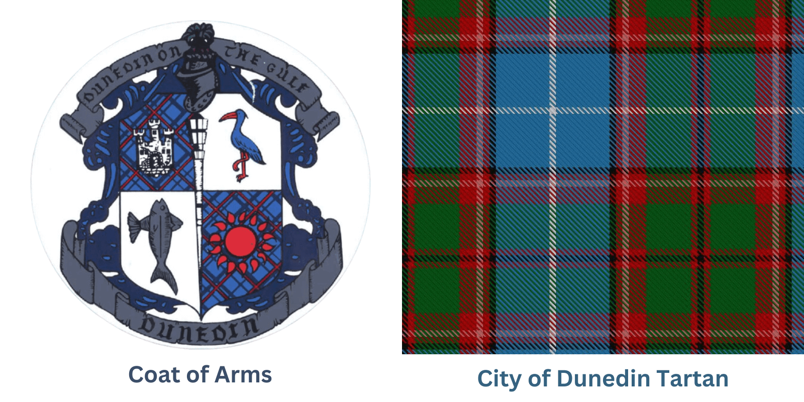 Scottish History of Dunedin - On Vacay Getaways